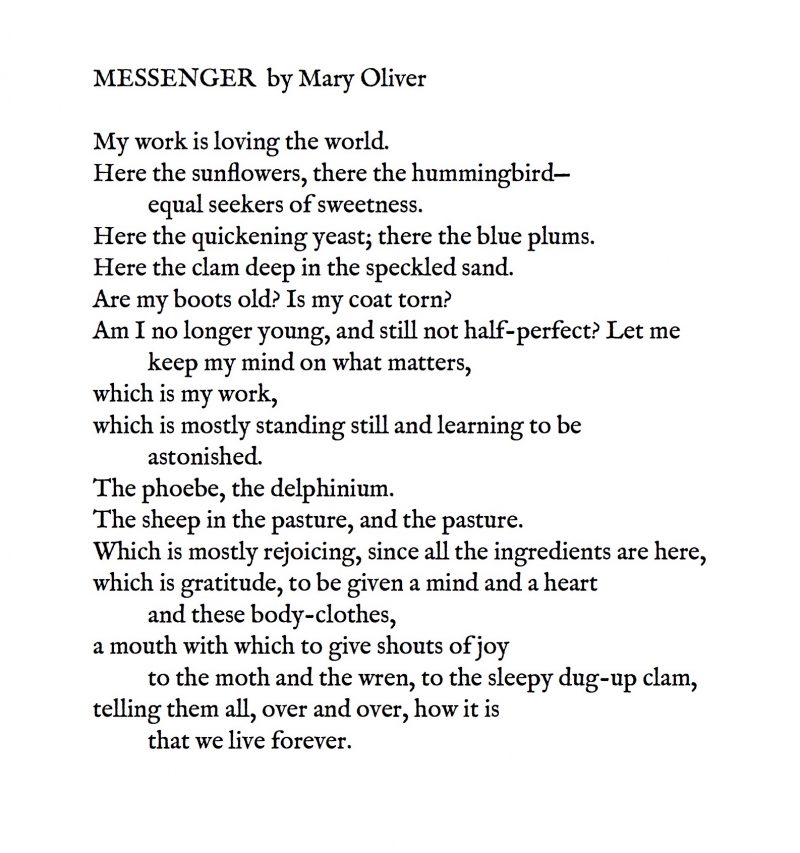 More Alternative Love Poems - creative writing blog